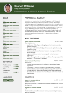 15 Database Programmer Resume Examples And Templates for 2025 ...
