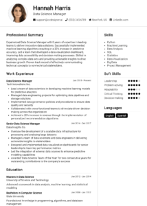 14 AI Engineer CV Examples And Templates for 2024: Best Writing Guide ...