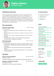 12 Technical Program Manager Resume Examples And Templates for 2024 ...