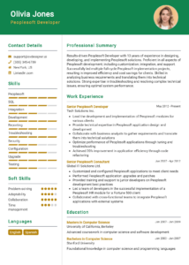 14 React JS Developer Resume Examples for 2025: Tips & Templates ...