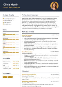 25+ Web Developer CV Examples and Free Templates For 2024 - CVDesigner.ai