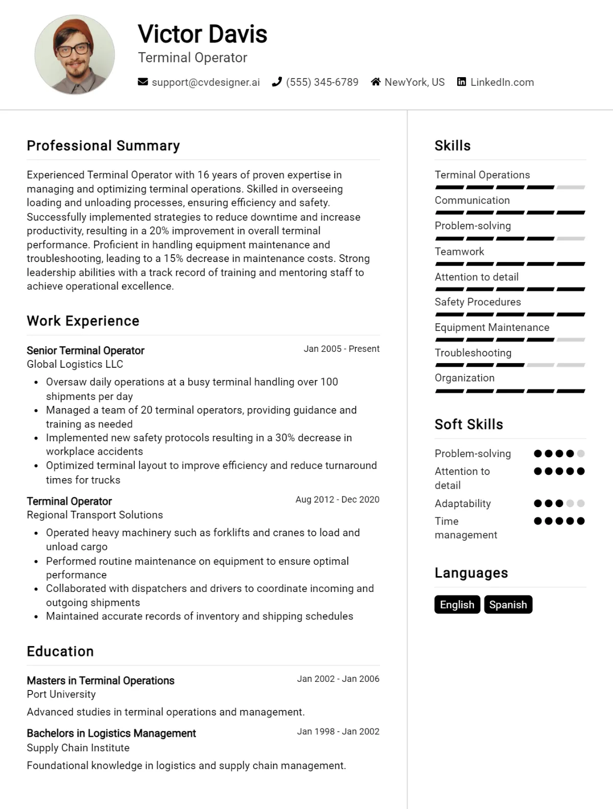 Terminal Operator CV Example For 2024: Best Writing Guide - CVDesigner.ai